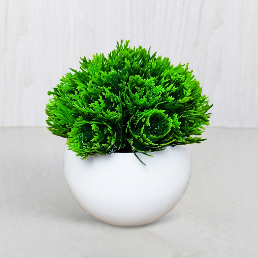 Jual UNICO Pot Bunga Plastik Hias Mini Import Termurah Bunga Rumput ...