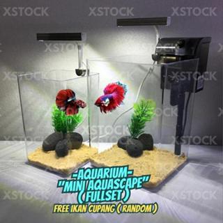 Jual PAKET AQUARIUM KACA FULLSET 60CM 50 40 30CM VIA INSTAN/GOJEK TANK ...