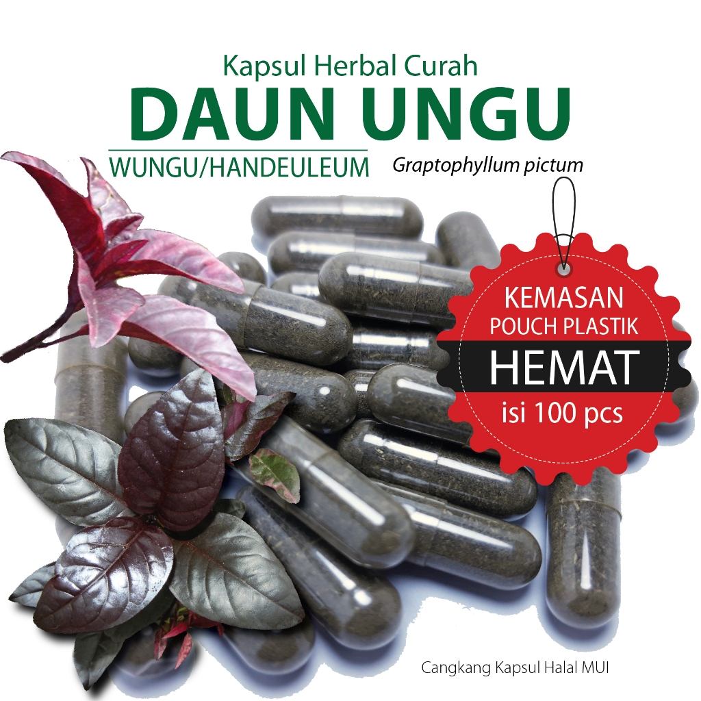 Jual DAUN UNGU Kapsul Herbal Kemasan Hemat - isi 100 pcs | Shopee Indonesia