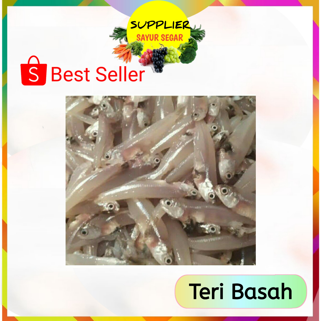Jual Teri Basah Ikan Bilis -Segar Palembang | Shopee Indonesia