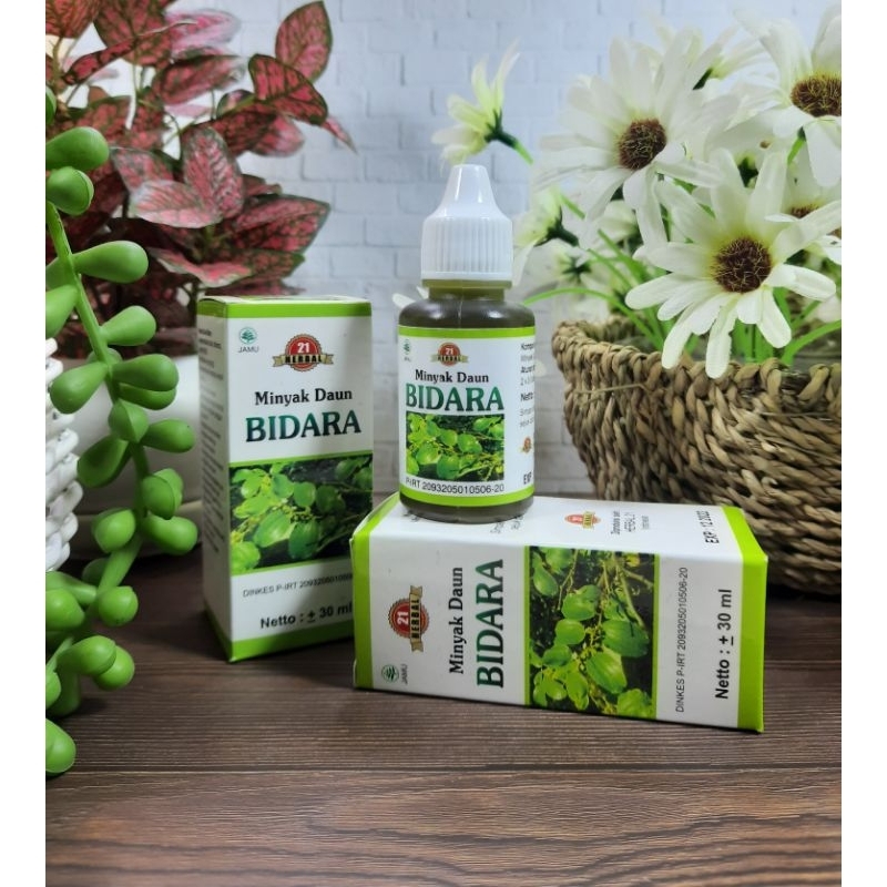 Jual Minyak Daun Bidara Asli Sidr Herbal 21| minyak herbal daun bidara ...