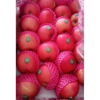 Jual apel fuji Harga Terbaik & Termurah Juni 2024 | Shopee Indonesia