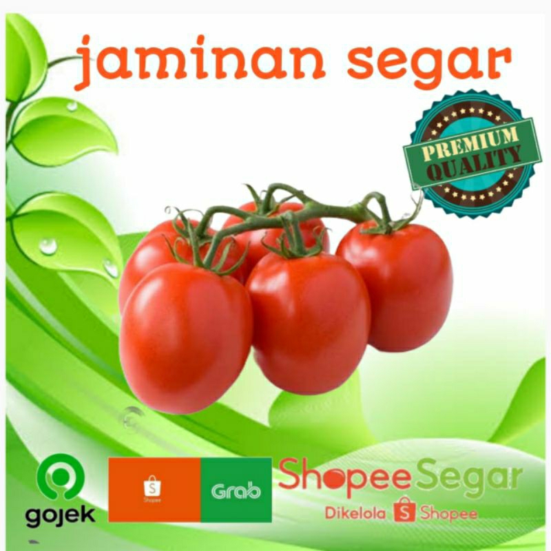 Jual tomat segar 250gr | Shopee Indonesia