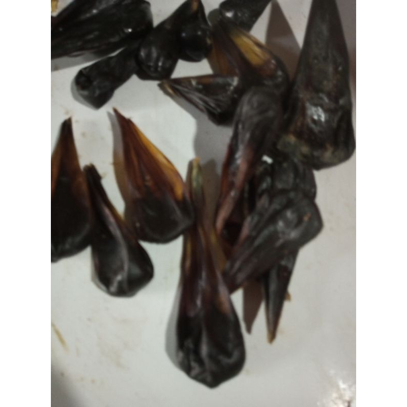 Jual Empedu kambing 1pcs | Shopee Indonesia