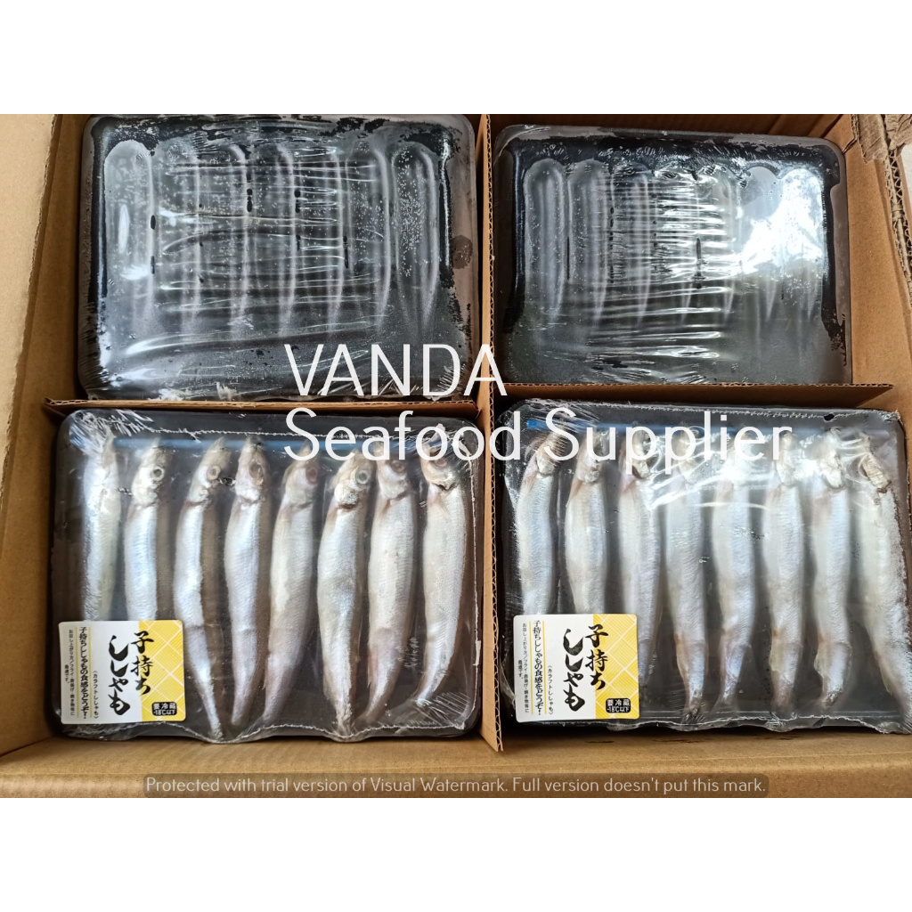 Jual Ikan Shisamo JP / capelin Frozen | Shopee Indonesia