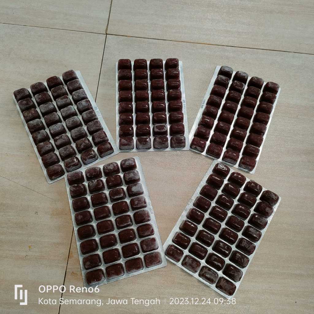 Jual Cacing Beku Kapsul Bloodworm Padat Murah Makanan Ikan Hias ...