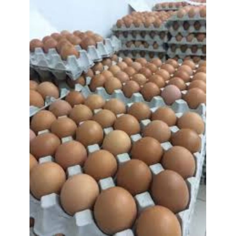 Jual Telur Ayam Negri 1kg Murah promo | Shopee Indonesia