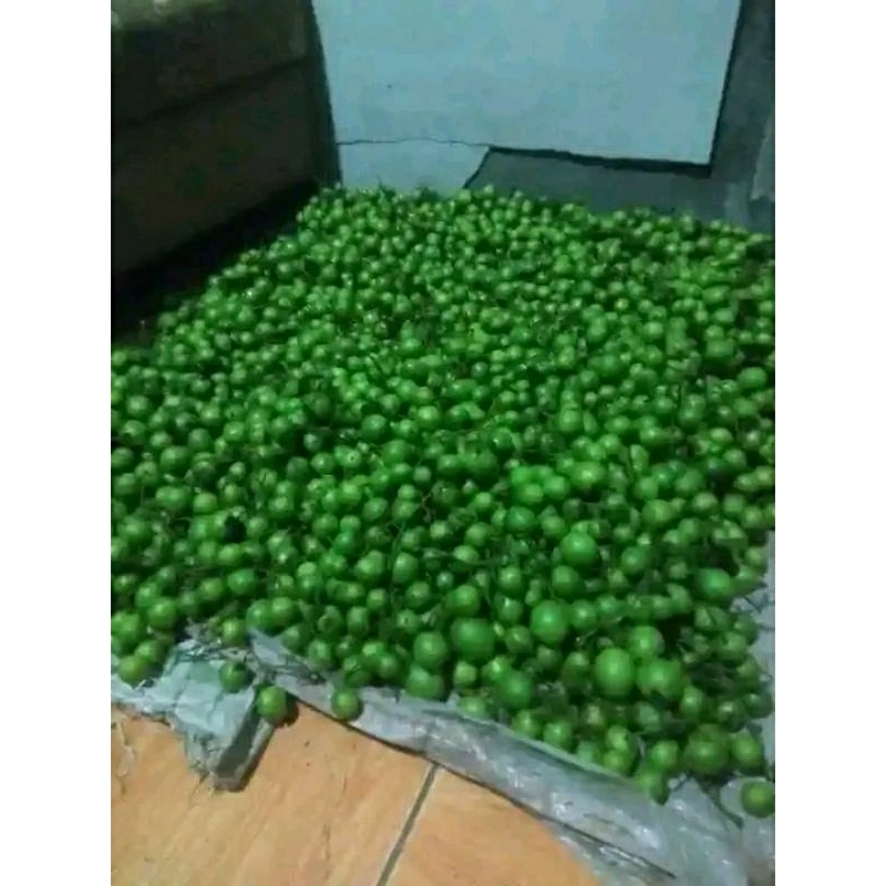 Jual BUAH JATAKE GANDARIA 750gr | Shopee Indonesia