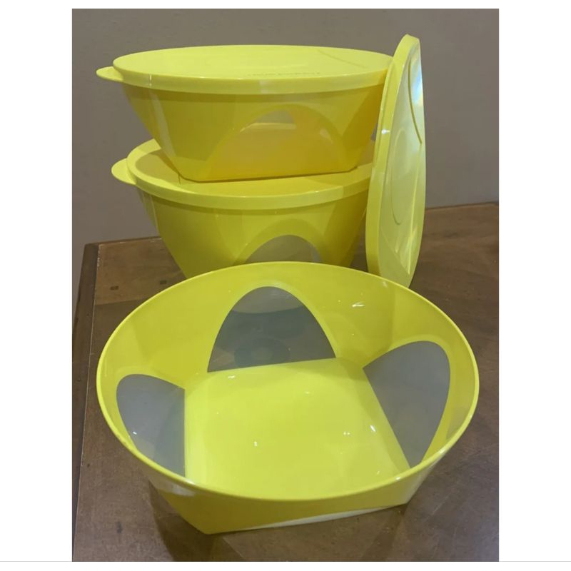 Jual Outdoor Dining Bowl Jadul Tupperware | Shopee Indonesia