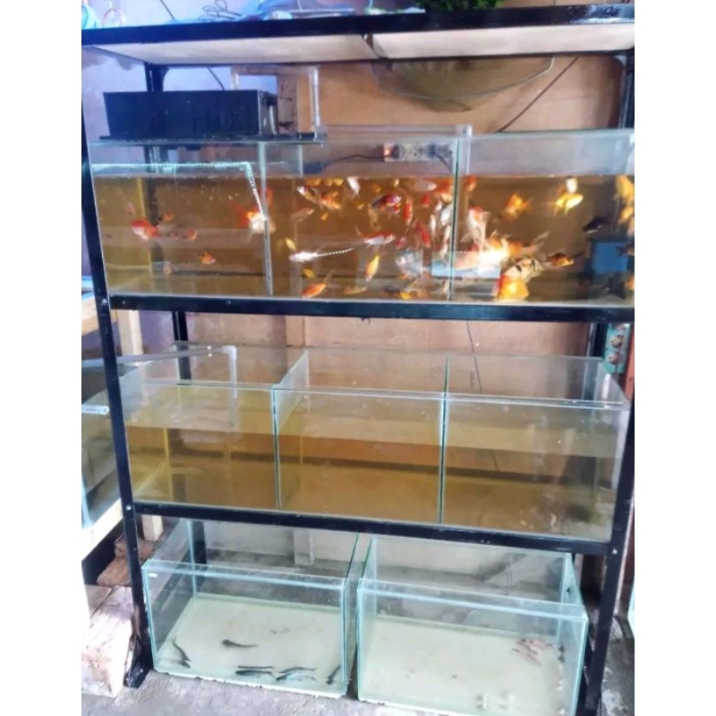 Jual Rak aquarium custom 3susun | Shopee Indonesia