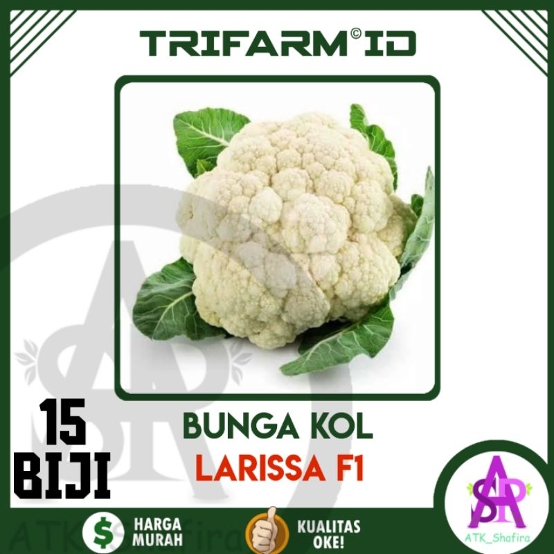 Jual TRIFARM 15 Biji Benih Bibit Bunga Kol Larissa F1 Larisa Kemasan ...