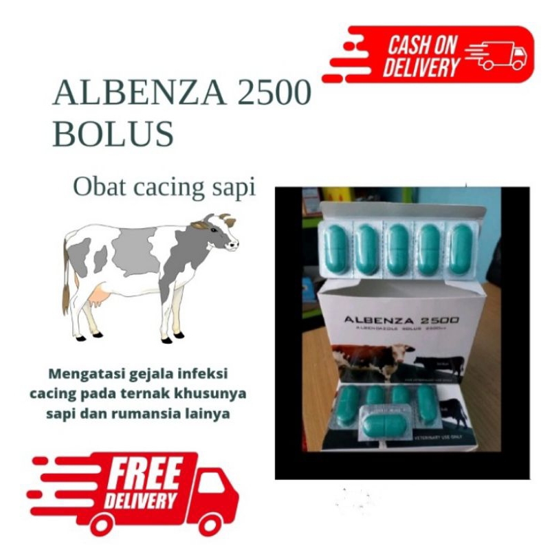 Jual albenza 2500 obat cacing sapi ( satu strip isi 5 bolus) | Shopee ...