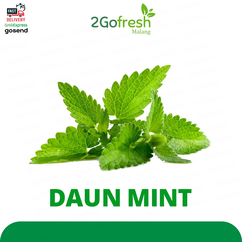 Jual Daun Mint Fresh - Sayur Sayuran | Shopee Indonesia