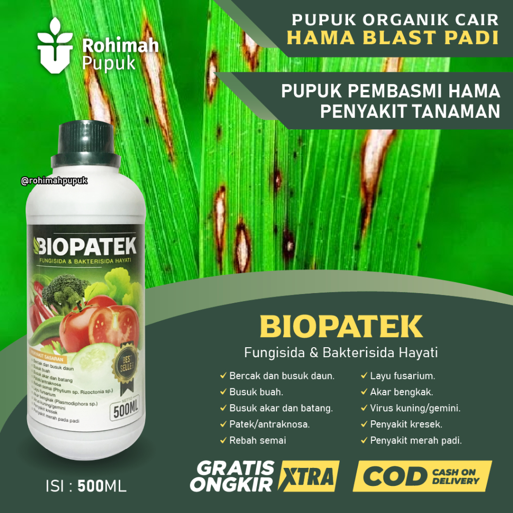 Jual BIOPATEK FUNGSIDA & BAKTERISIDA HAYATI Mengatasi Hama Penyakit ...
