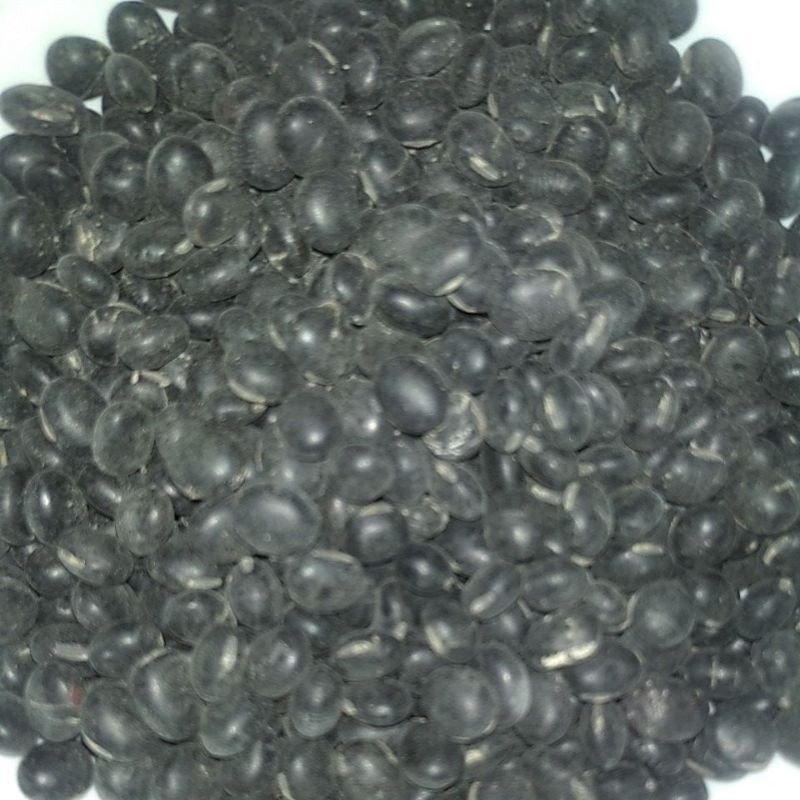 Jual KACANG DELE / KEDELE / KEDELAI HITAM | Shopee Indonesia