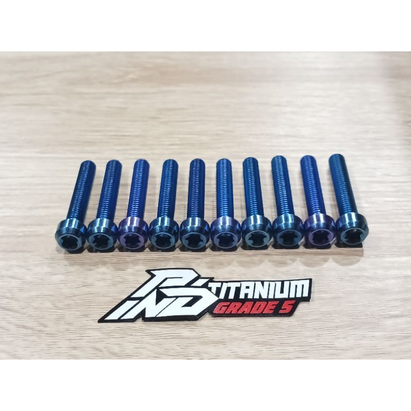 Jual Baut Titanium Bak CVT AEROX / VESPA MATIC SPRINT / PRIMAVERA ...