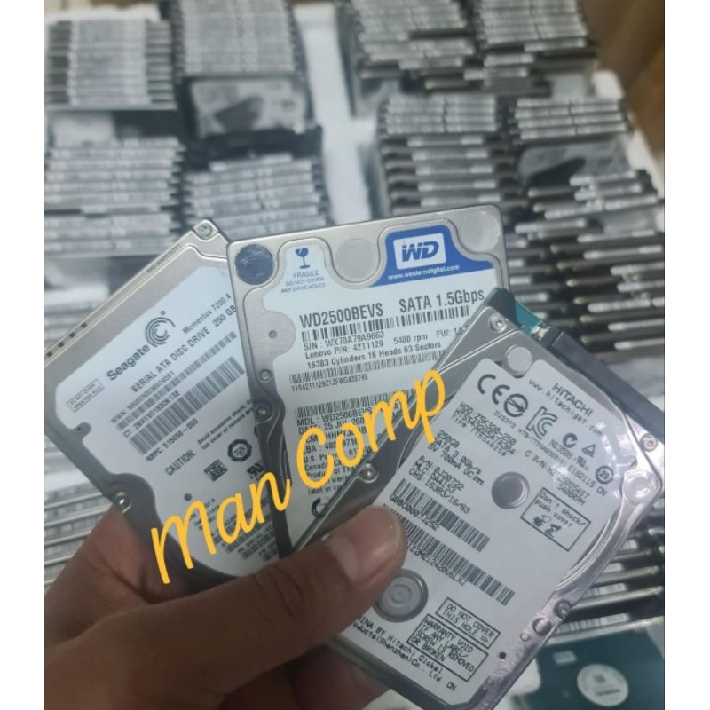 Jual Hardisk Laptop 250GB Sata HDD 2.5 Inch Sentinel 100% | Shopee ...