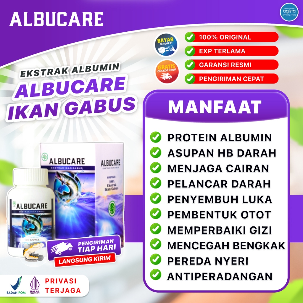 Jual ALBUCARE Kapsul Ikan Gabus 100% Original Albumin Kutuk Premium ...