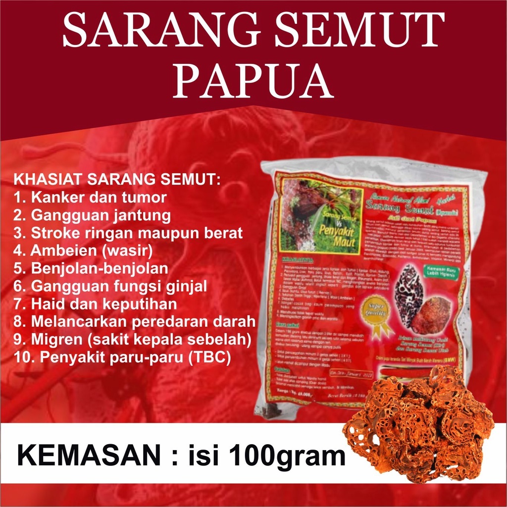 Jual Sarmut Sarang Semut Rebus Fira | Sarang semut asli Papua | Shopee ...