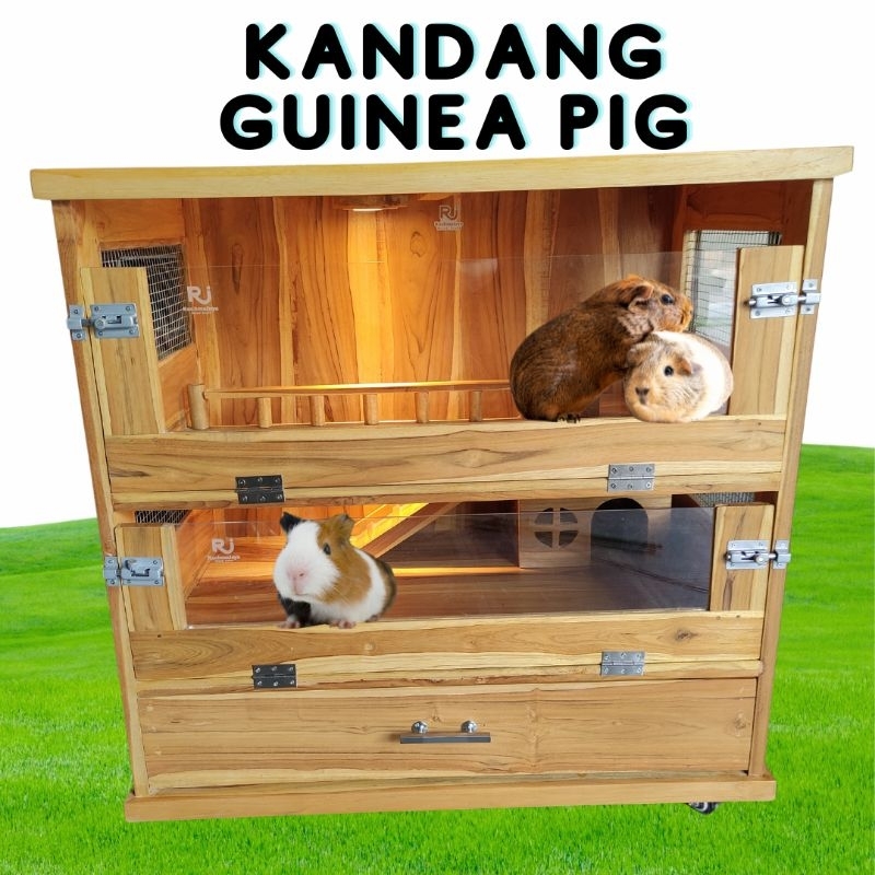 Jual Kandang Guinea Pig Kandang Marmut kayu Rumah Marmut | Shopee Indonesia