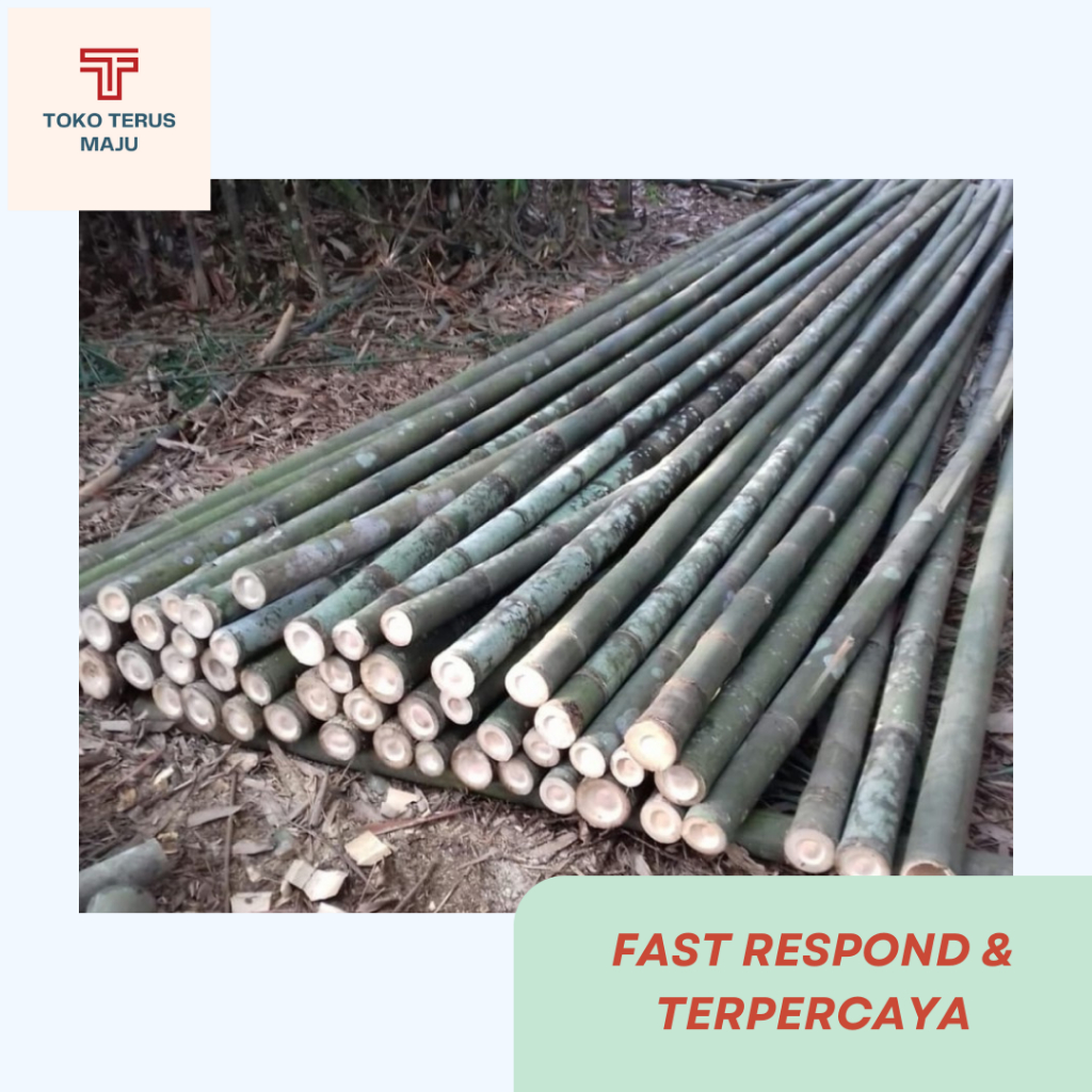 Jual Bambu Ukuran 8-10 untuk Proyek - Bambu untuk Proyek, Kualitas Baik ...