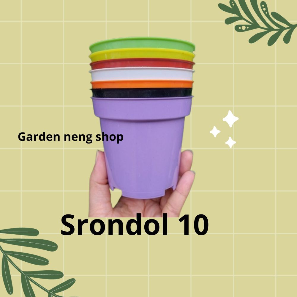 Jual (1pc) GOL SRONDOL 10 (10cm) : pot bunga basic tinggi biasa pot ...