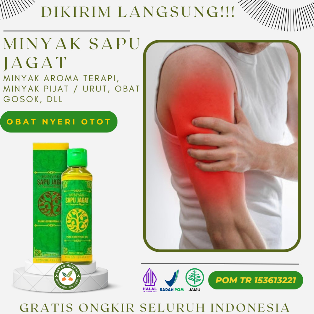 Jual Minyak Sapu Jagat 100% Original - Minyak Urut Untuk Nyeri Otot ...