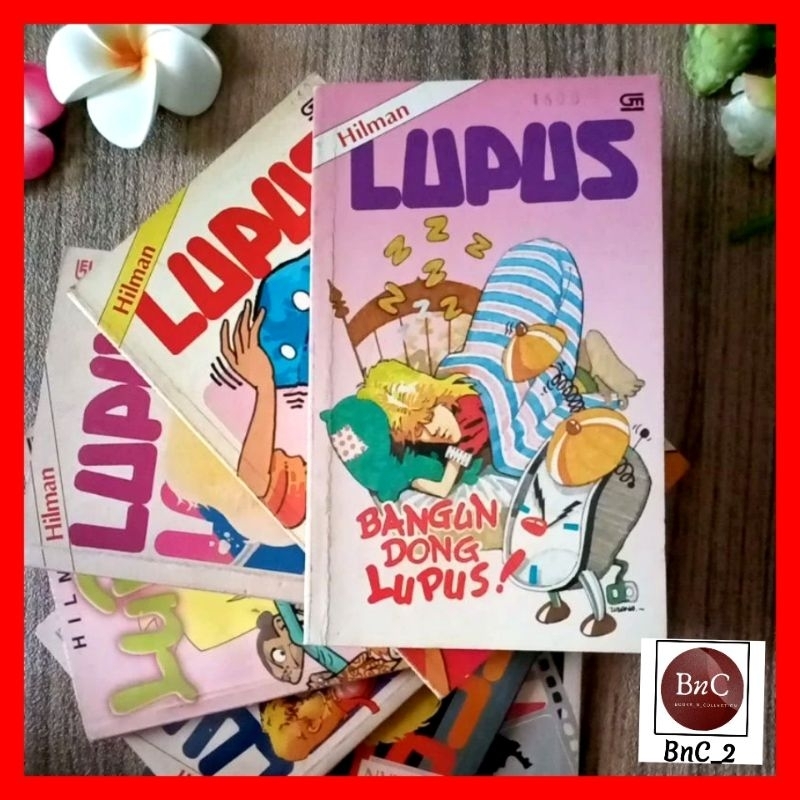 Jual novel Lupus Hilman Boim bekas | Shopee Indonesia