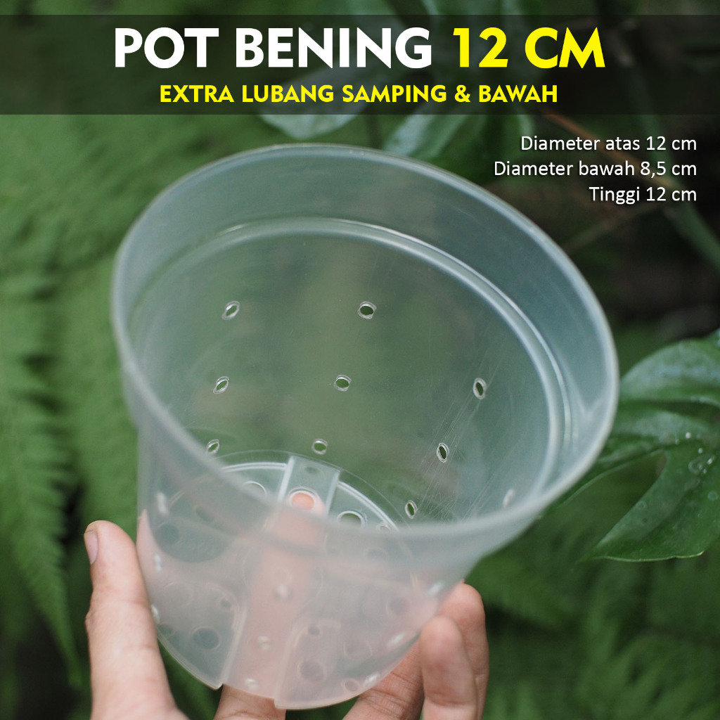 Jual Pot Bening Plastik 12cm + Lubang Samping | Shopee Indonesia