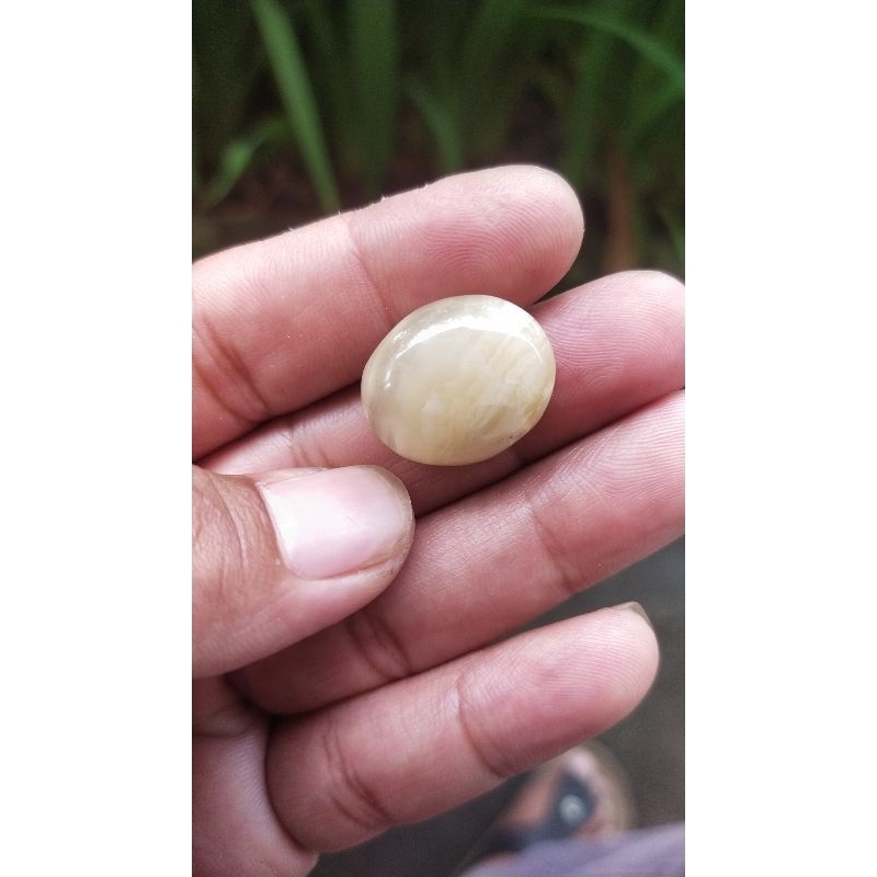 Jual Permata les cempaka.posil cempaka | Shopee Indonesia