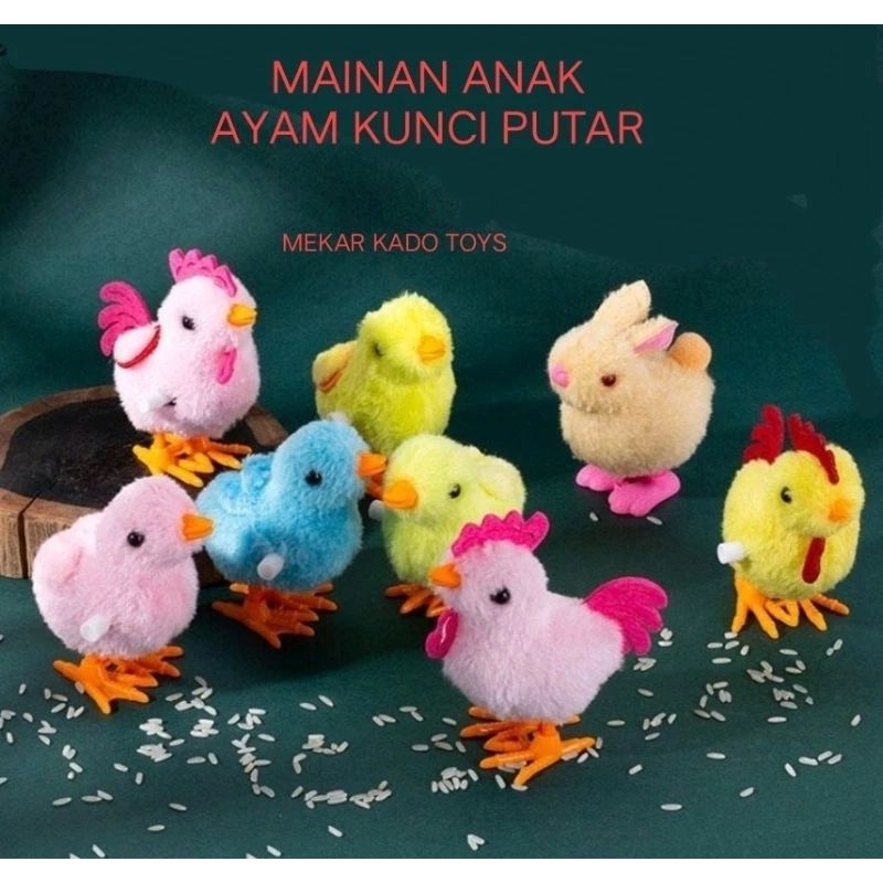 Jual Mainan Anak Ayam Putar | Shopee Indonesia