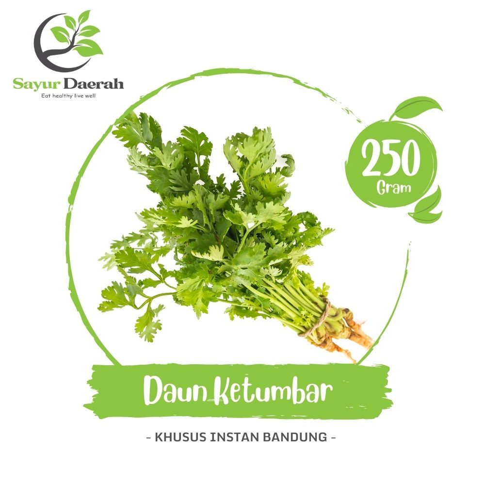 Jual Daun Ketumbar Wangsui 250 Gr | Sayur Daerah | Shopee Indonesia