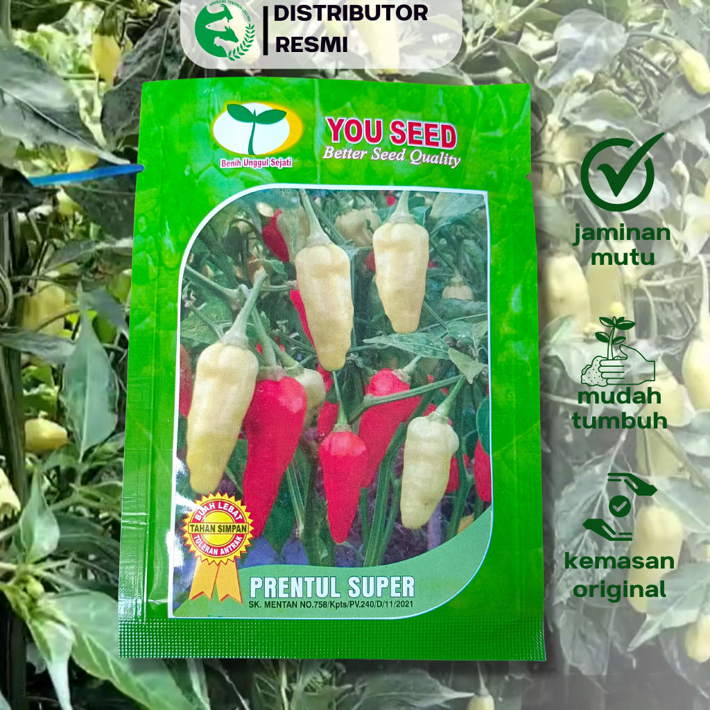 Jual Benih Cabe Rawit PRENTUL SUPER 10 gr Asli Cap YOU SEED Produksi ...