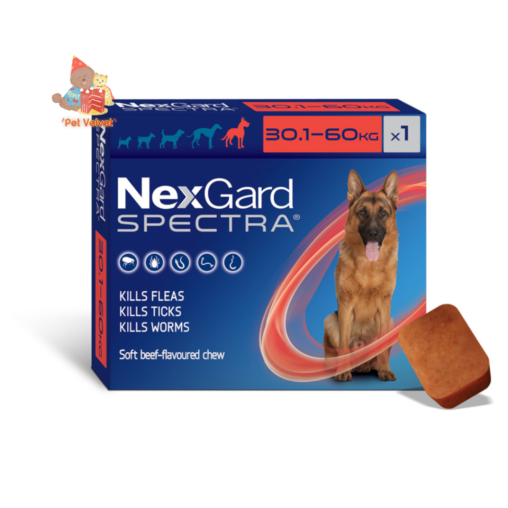 Jual Obat Kutu & Cacing Complete NEXGARD XL (30,1 - 60kg) - Harga Per ...