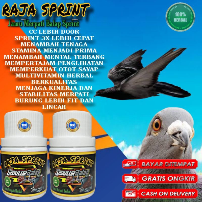 Jual JAMU MERPATI BALAP RAJA SPRINT 100 pil hitam doping merpati balap ...