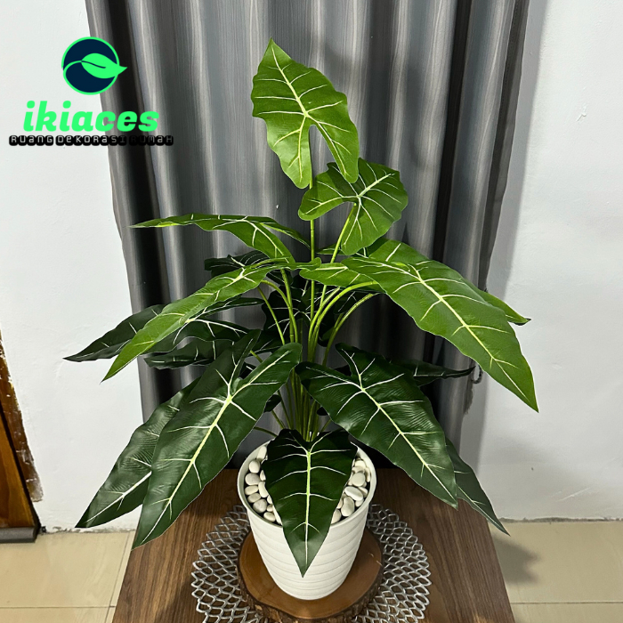 Jual DAUN KELADI ARTIFISIAL DAUN TALAS JUMBO PLASTIK DEKORASI TANAMAN ...