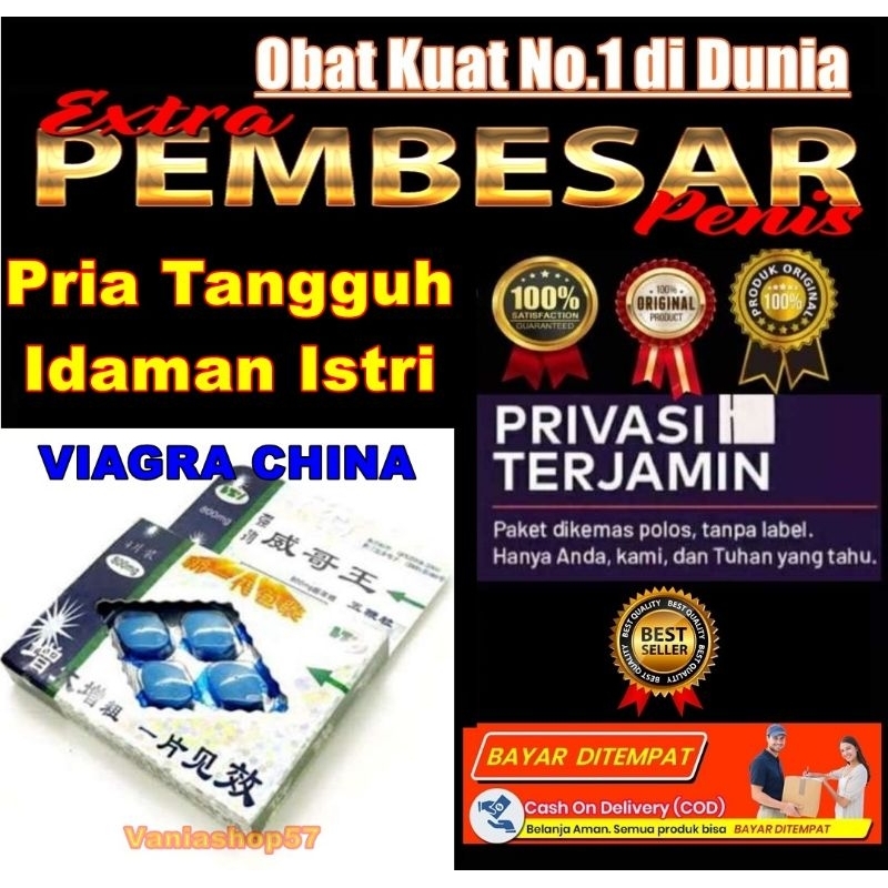 Jual OBAT KUAT - PIL BIRU CHINA ORIGINAL VGR - OBAT KUAT PRIA | Shopee ...