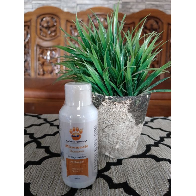 Jual Raid all miconazole shampoo antifungal medically formulated untuk ...
