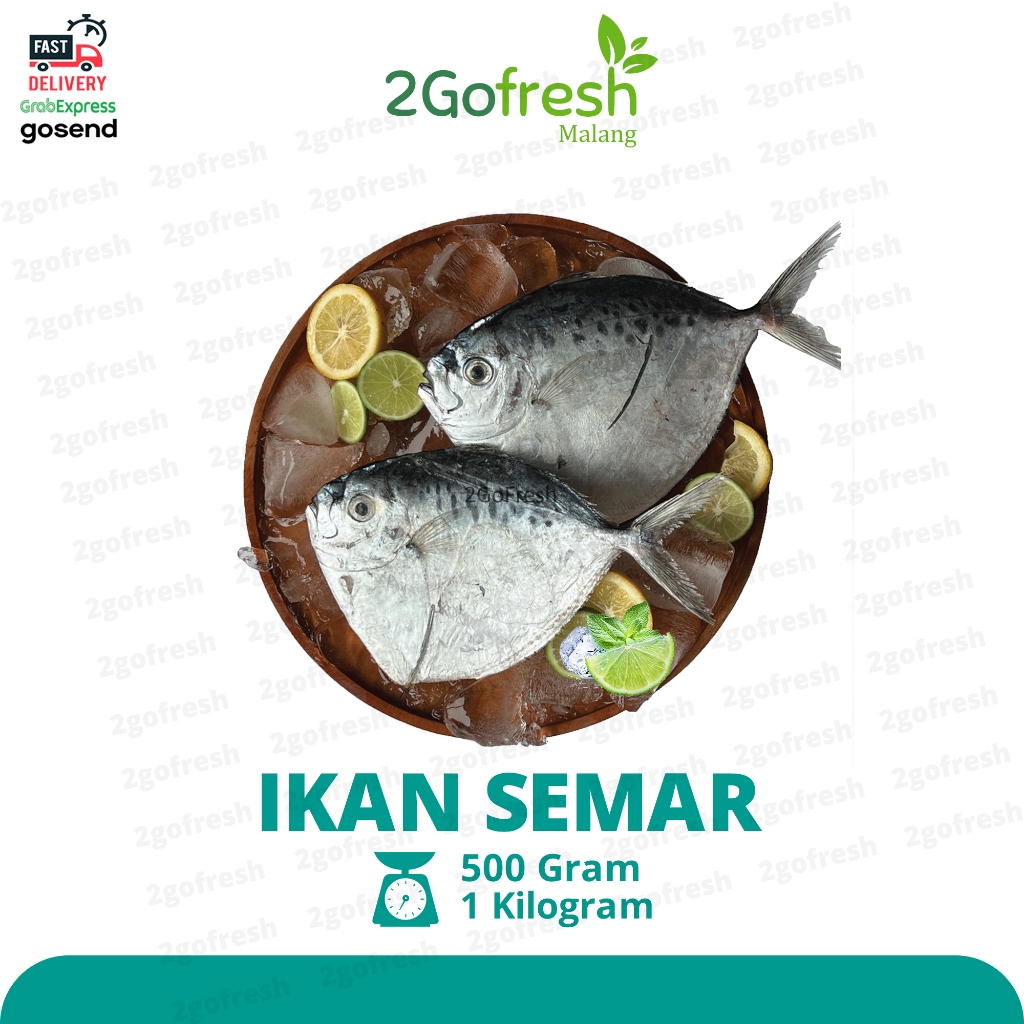 Jual Ikan Semar / Ani - Ani Fresh - Sayur Sayuran | Shopee Indonesia