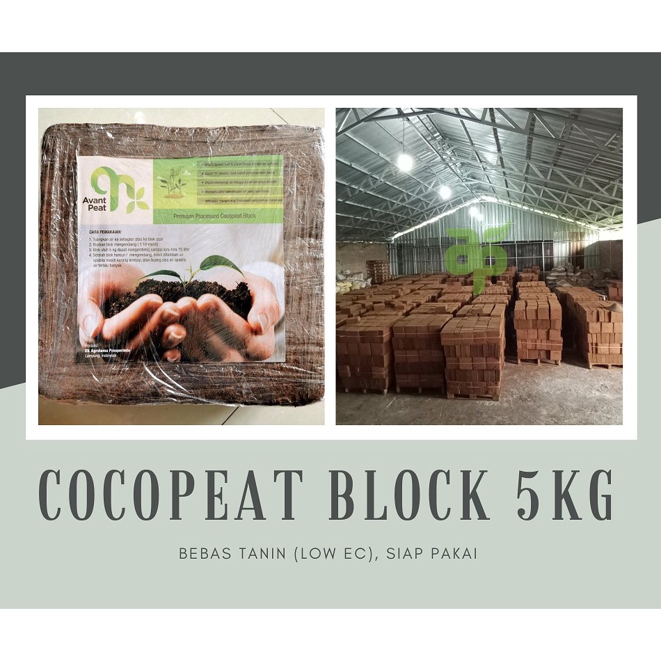 Jual KODE J77H Cocopeat Block 5 KG Coco Peat Cocopit Cocovit Media Tanam Bentuk Blok | Shopee ...