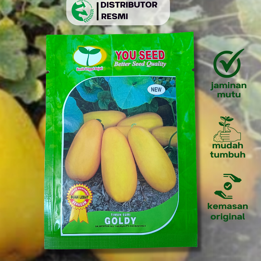 Jual Benih Timun Suri Madu GOLDY 10 gram Asli Cap You Seed Unggul | Shopee Indonesia