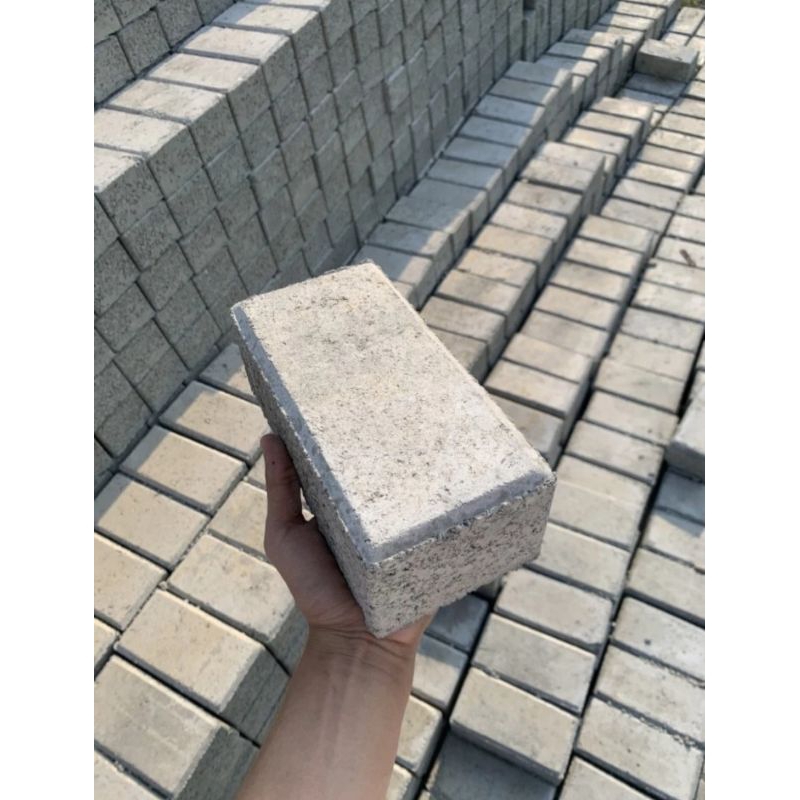 Jual Paving Block bata ukuran 20cmx10cm tebal 6cm/8cm press hidraulik ...