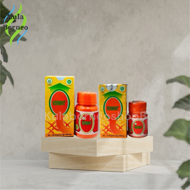 Jual Vermint Ekstrak Cacing - Obat Typus | Shopee Indonesia