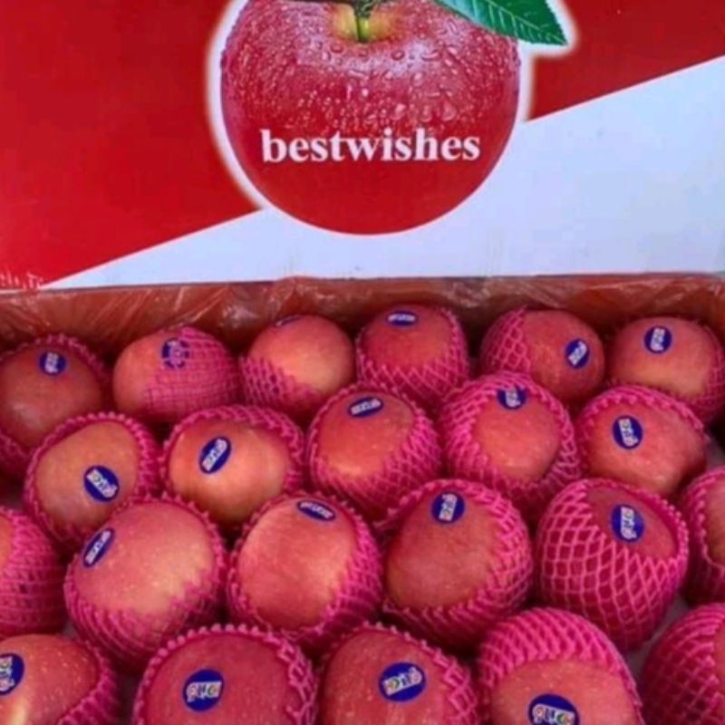Jual Apel Fuji China BestWishes Size 88/Kg | Shopee Indonesia
