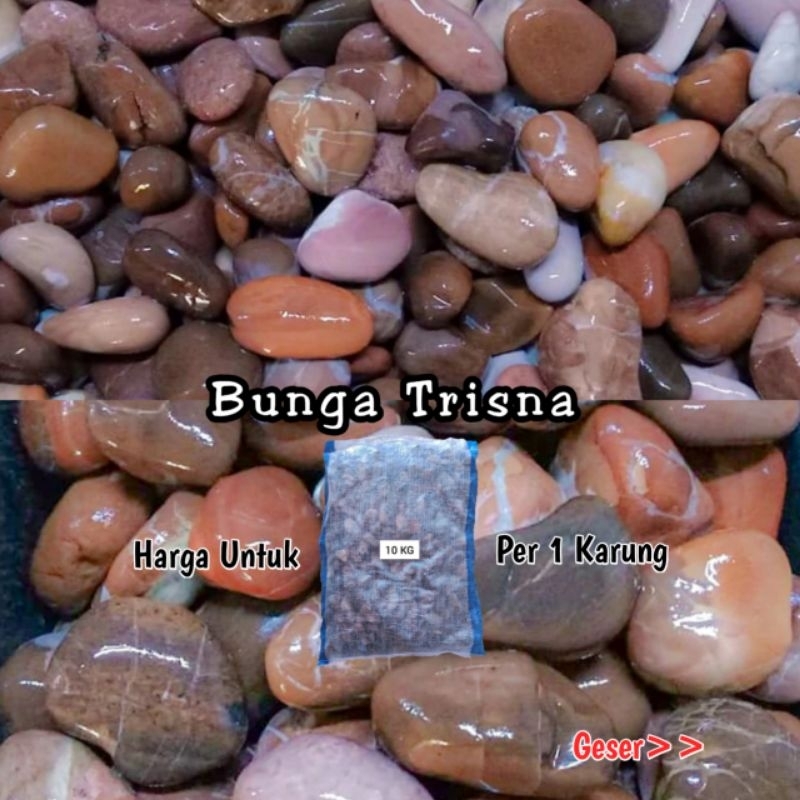 Jual BATU KORAL MERAH ATI/BATU PANCAWARNA/BATU TAMAN/BATU HIAS KARUNGAN | Shopee Indonesia