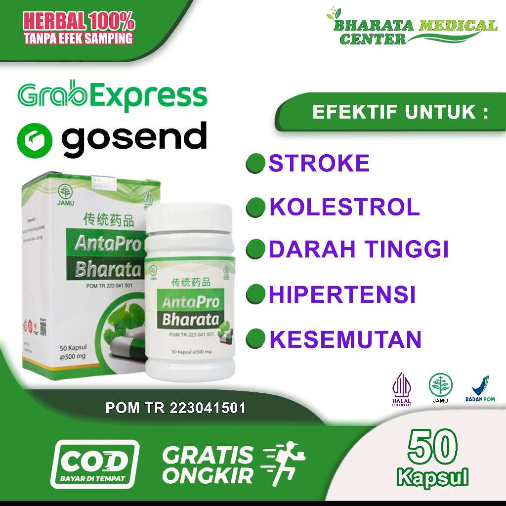 Jual Obat Stroke Hipertensi Kolesterol Darah Tinggi Antapro Bharata ...