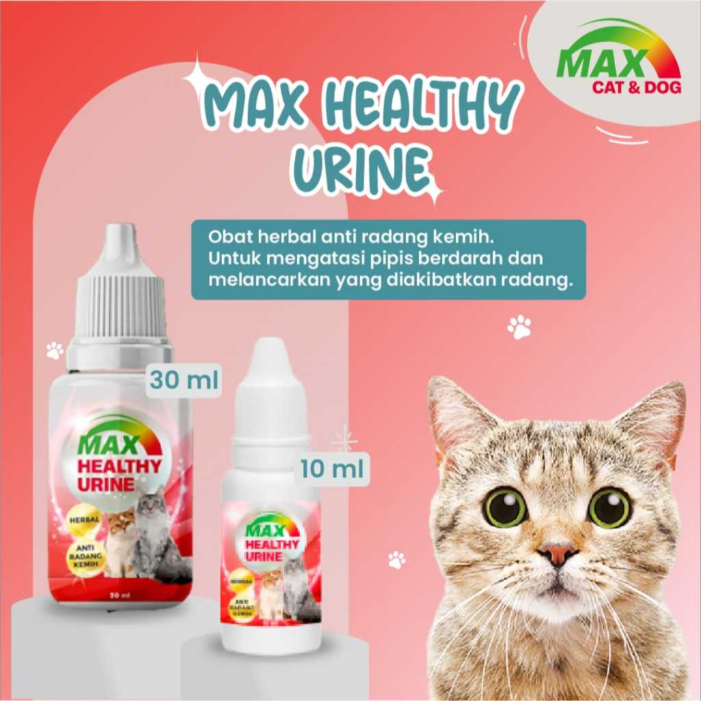 Jual obat tetes MAX HEALTHY URIN 10ML anti radang kemih dan susah ...