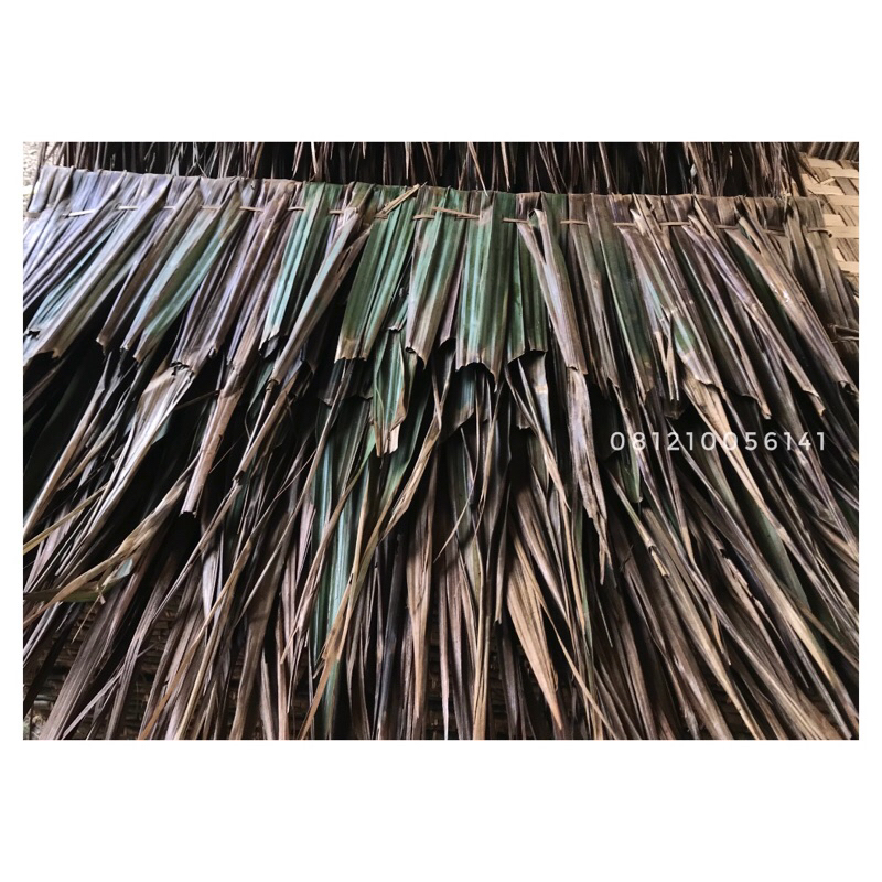 Jual Atap Daun Kirai Rumbia isi 10 Lembar | Shopee Indonesia