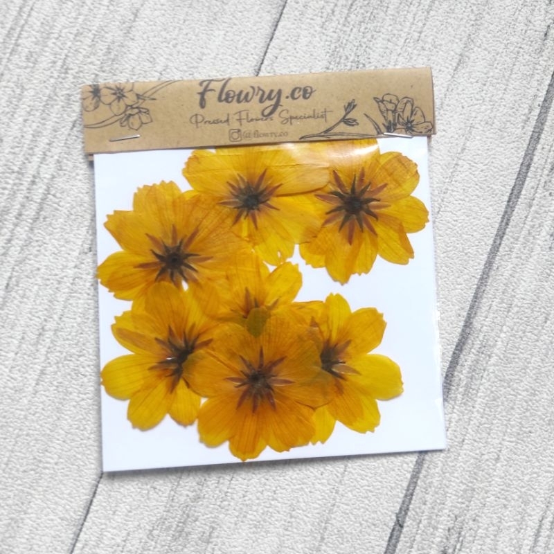 Jual 1 PACK pressed flower PART 1 bunga kering asli bahan diy craft ...
