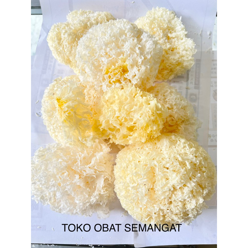 Jual BaiMuEr Yin Er Yiner Jamur Putih Kering Bai Mu Er White Fungus 1 ...
